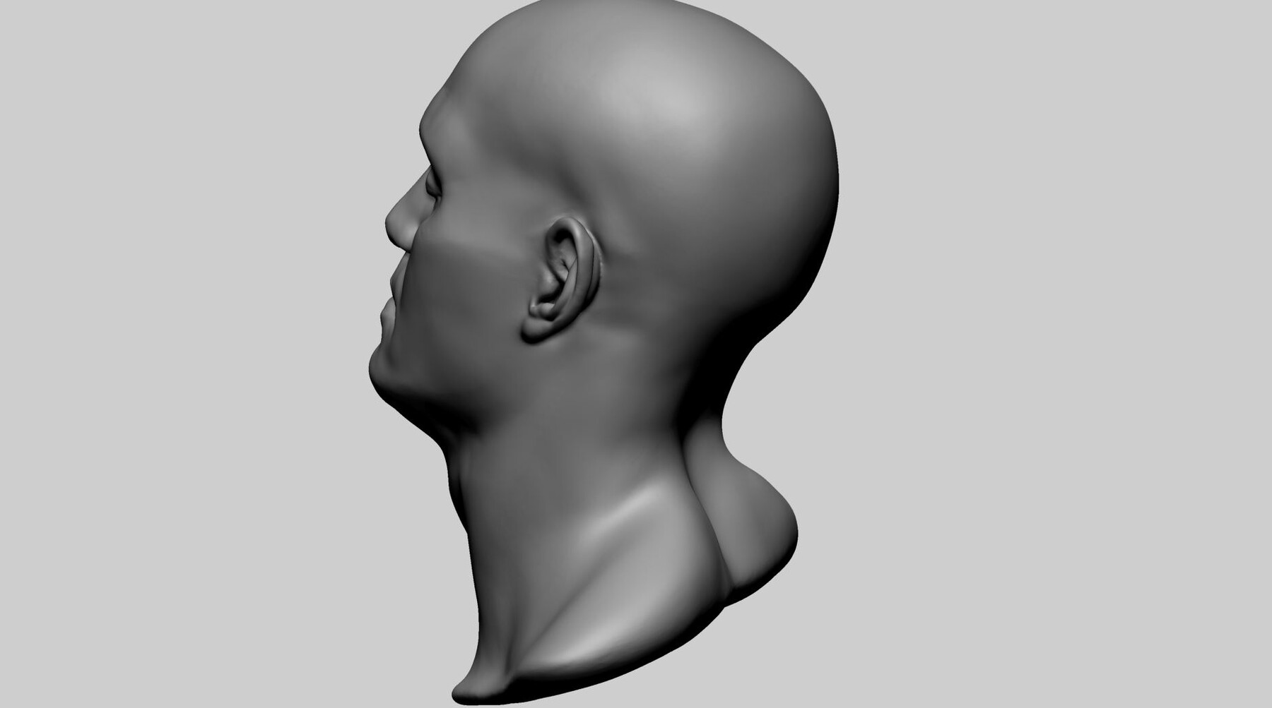ArtStation - Base Male Head C | Resources