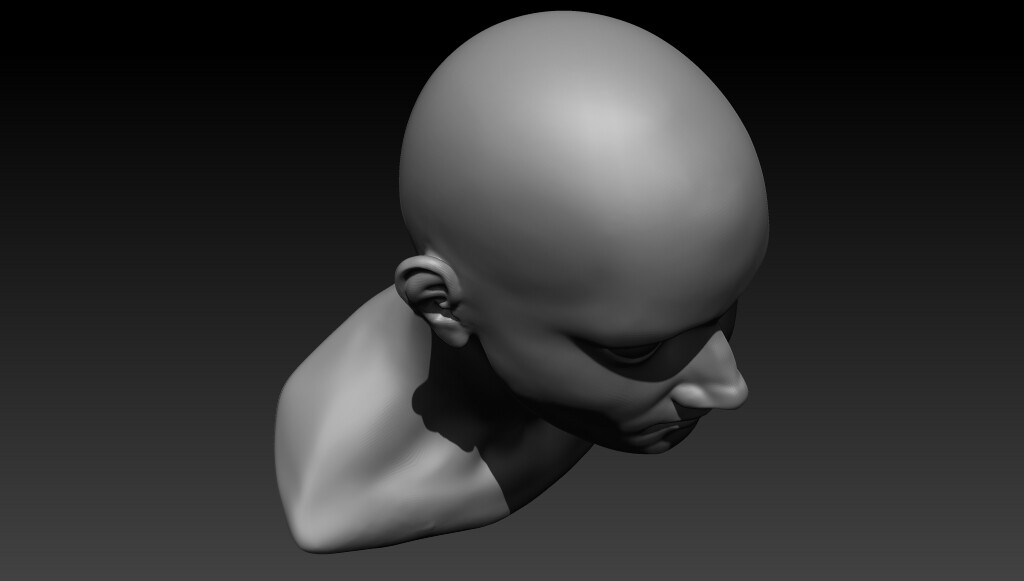 ArtStation - Base Sculpted Head | Resources