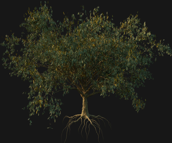 ArtStation - Tree Pack | Resources