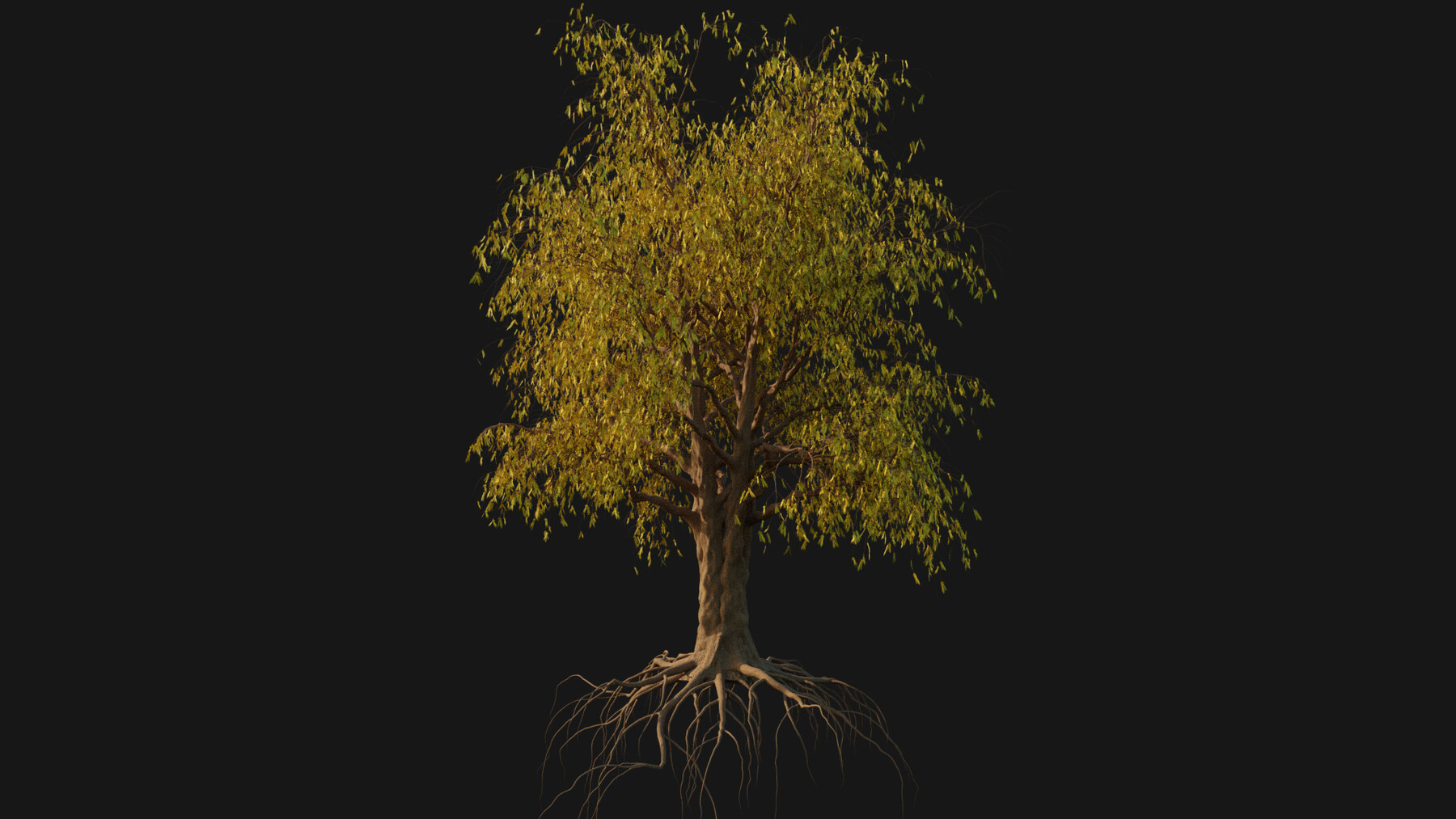 ArtStation - Tree Pack | Resources