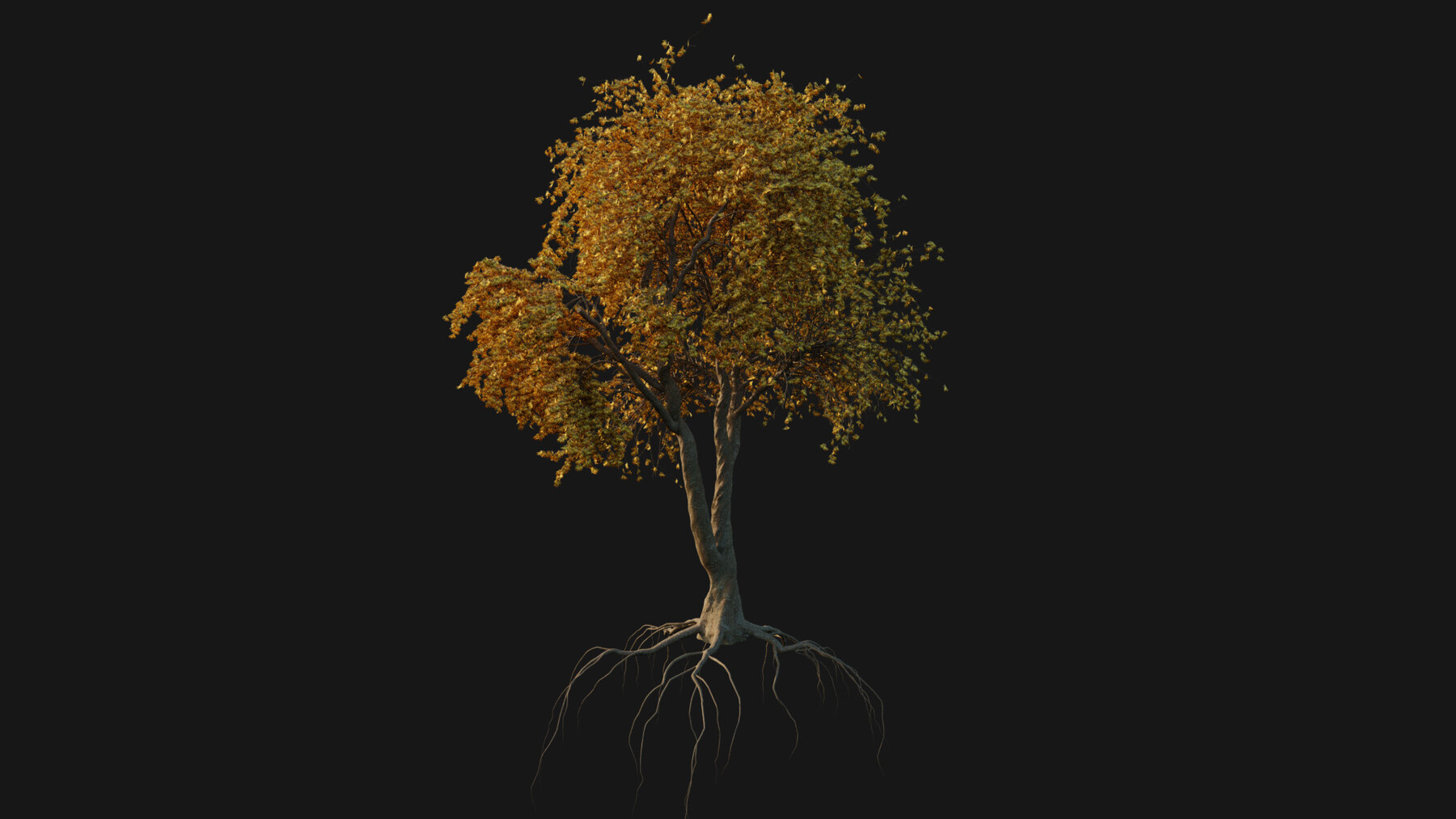 ArtStation - Tree Pack | Resources