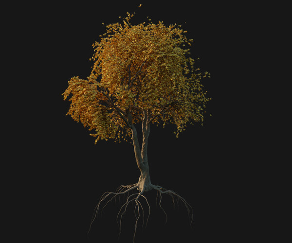 ArtStation - Tree Pack | Resources