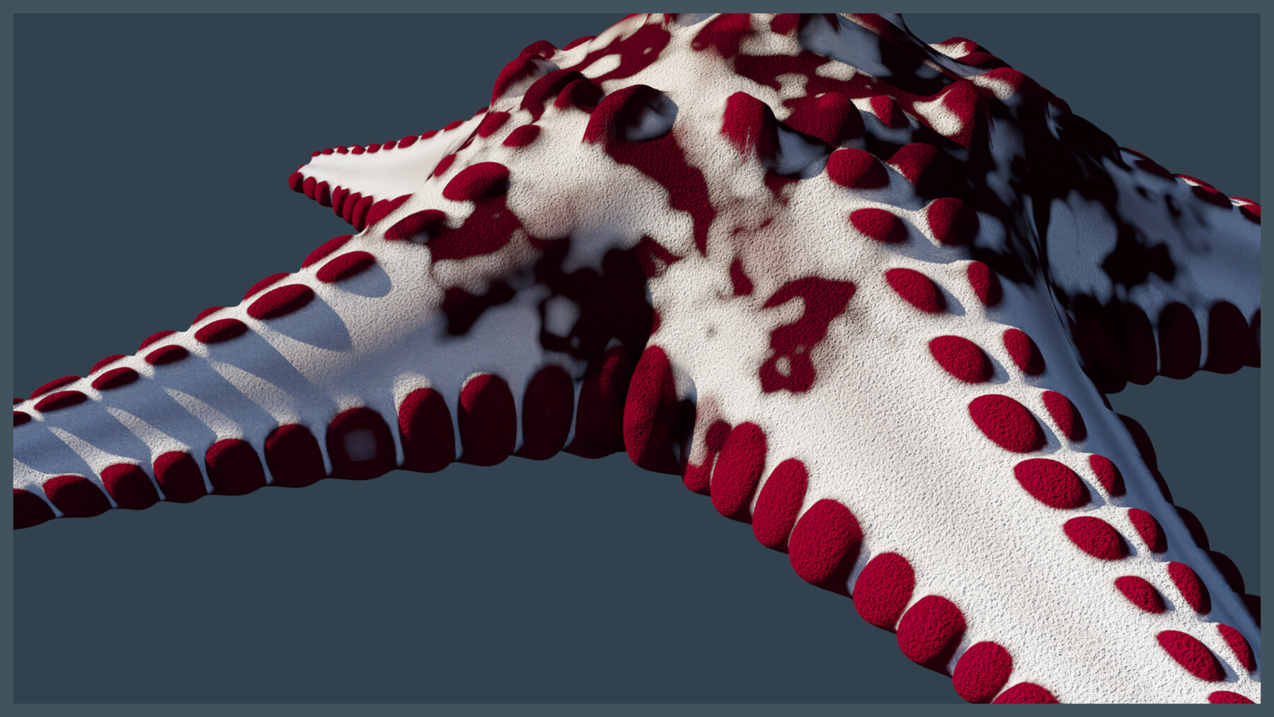 ArtStation - Starfish Variety Pack 2 | Game Assets