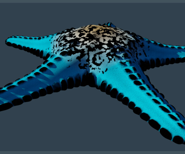 ArtStation - Starfish Variety Pack 2 | Game Assets