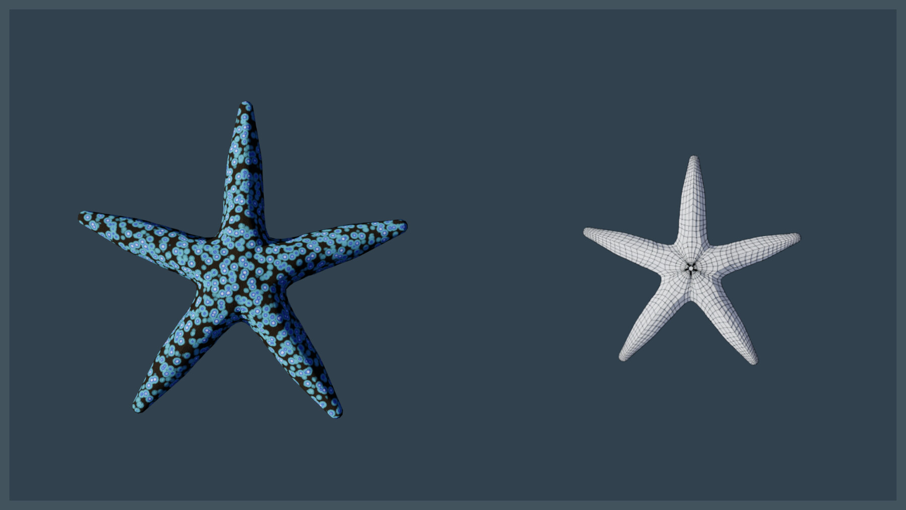 ArtStation - Starfish Variety Pack 2 | Game Assets