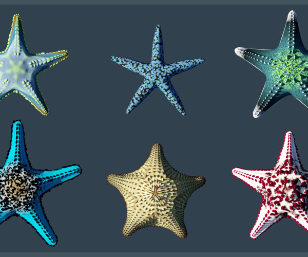 ArtStation - Starfish Variety Pack 2 | Game Assets