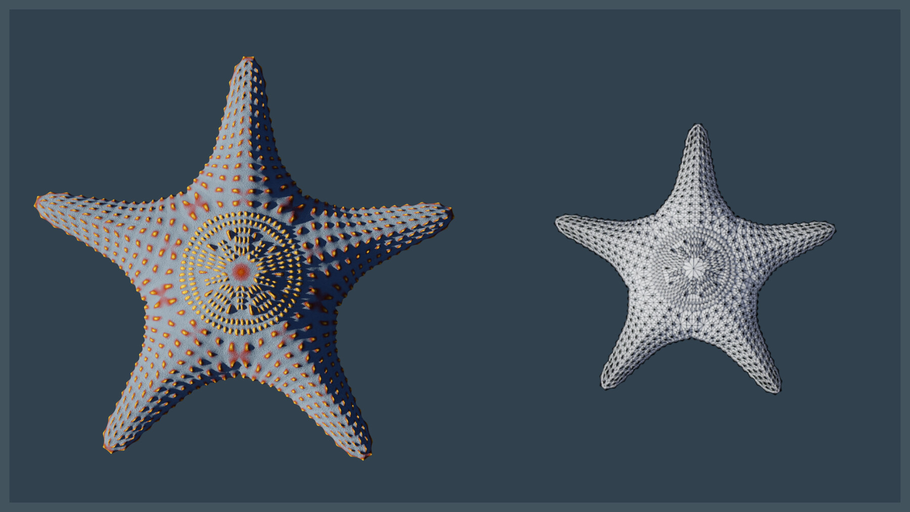 ArtStation - Starfish Variety Pack 3 | Game Assets