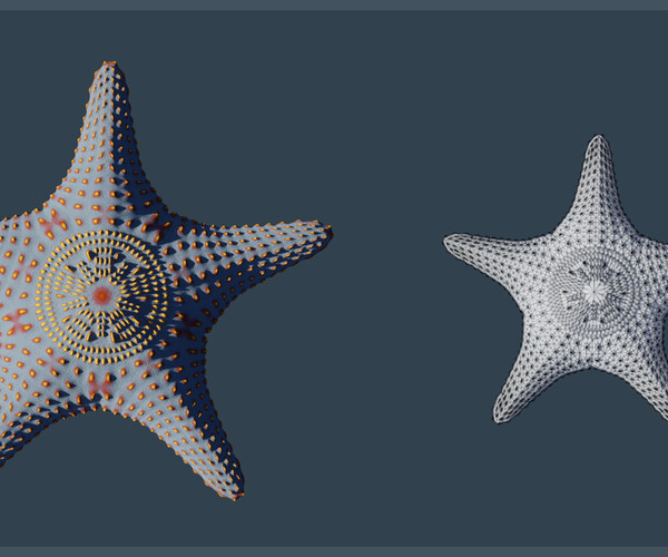 ArtStation - Starfish Variety Pack 3 | Game Assets