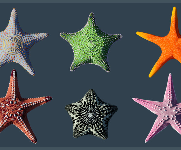 ArtStation - Starfish Variety Pack 3 | Game Assets