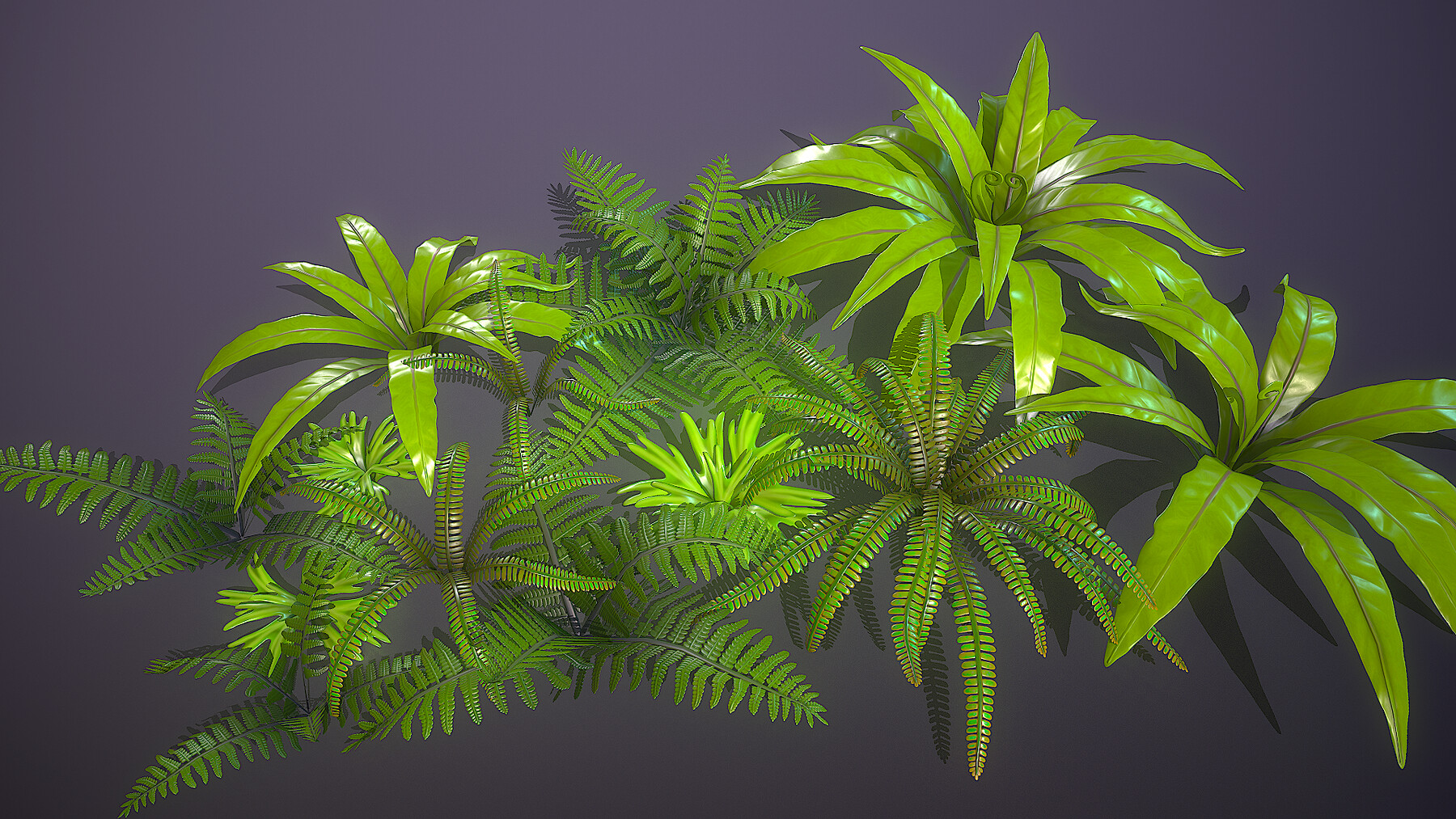 ArtStation - Ferns Pack | Game Assets