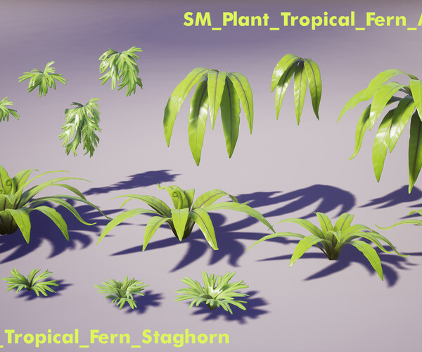 ArtStation - Ferns Pack | Game Assets