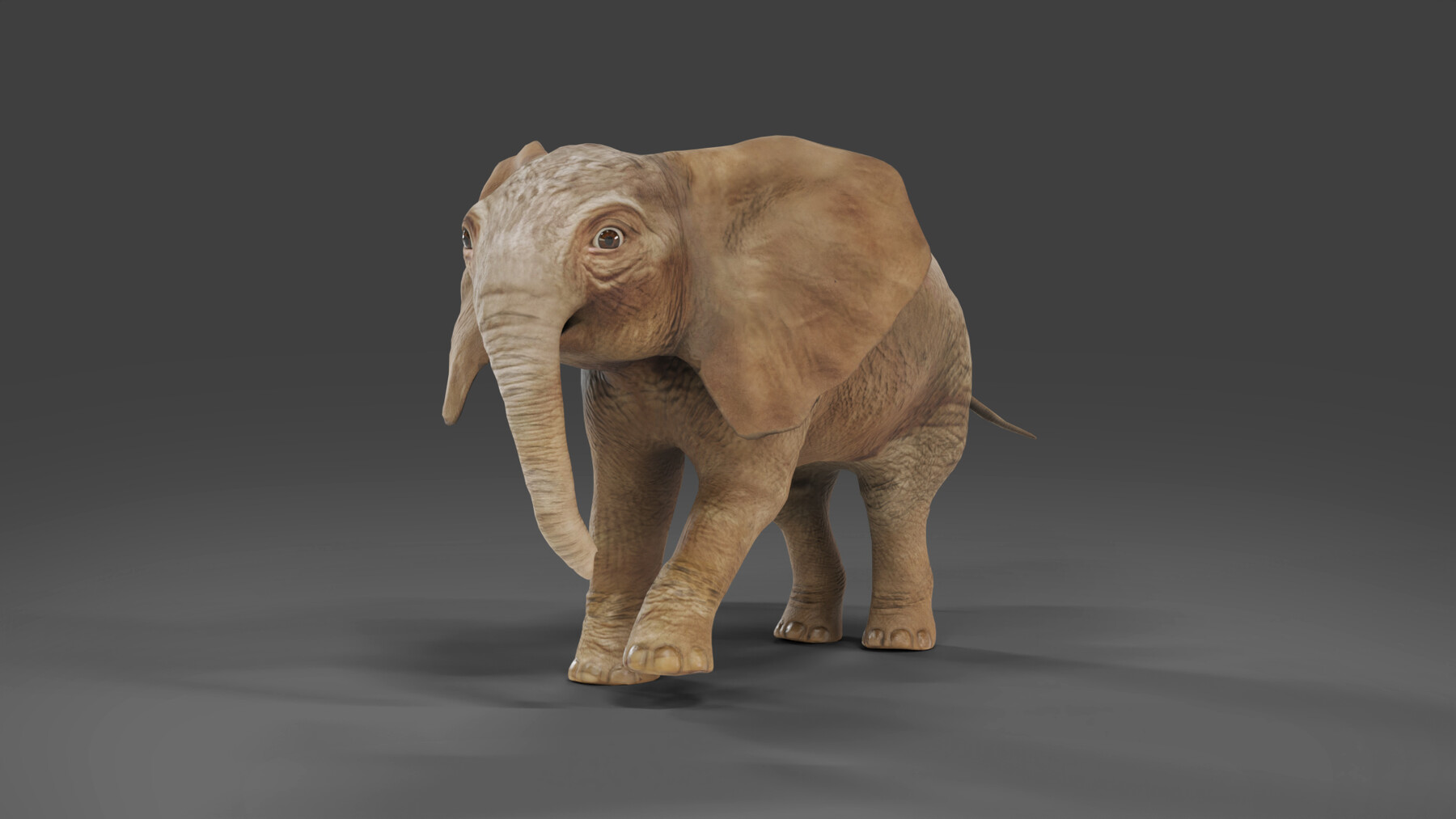 ArtStation - Baby Elephant Rigged and Animation Unity V02 | Game Assets