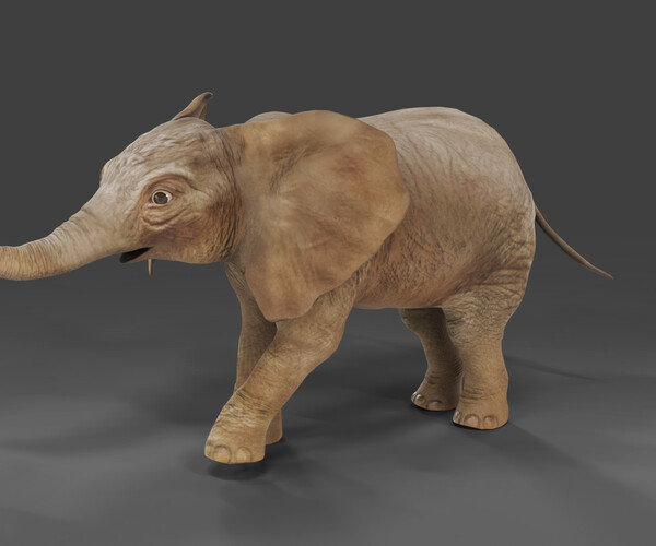 ArtStation - Baby Elephant Rigged and Animation Unity V02 | Game Assets