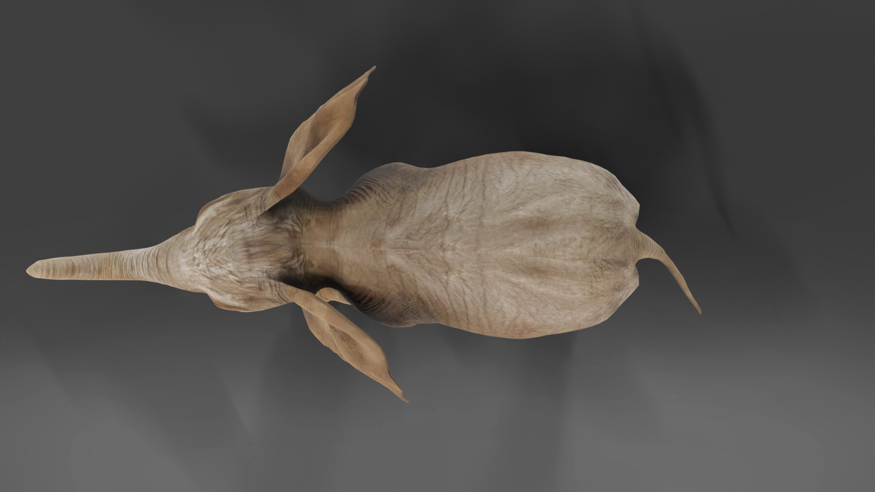 ArtStation - Baby Elephant Rigged and Animation Unity V02 | Game Assets