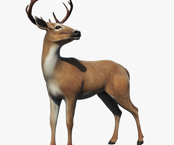 ArtStation - deer | Game Assets