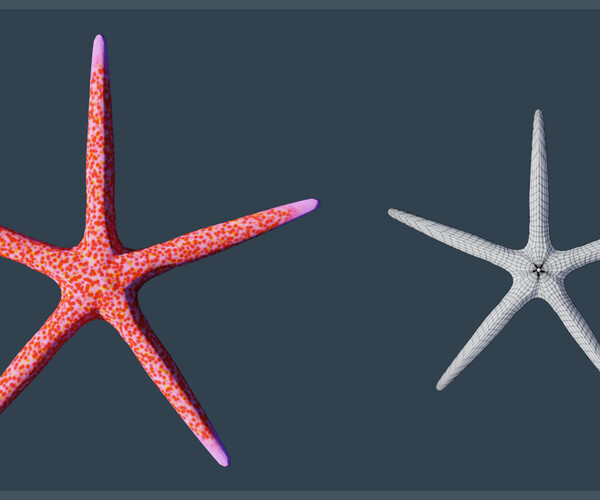 ArtStation - Starfish Variety Pack 4 | Game Assets