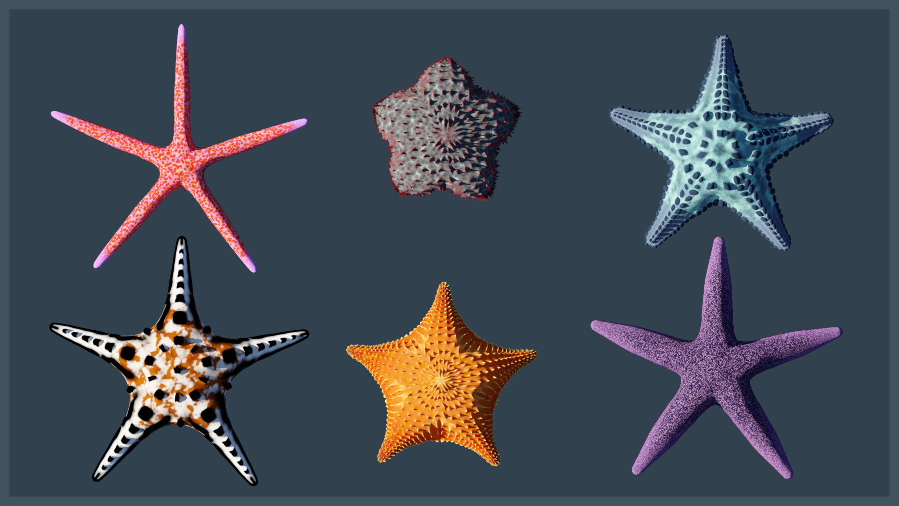 ArtStation - Starfish Variety Pack 4 | Game Assets