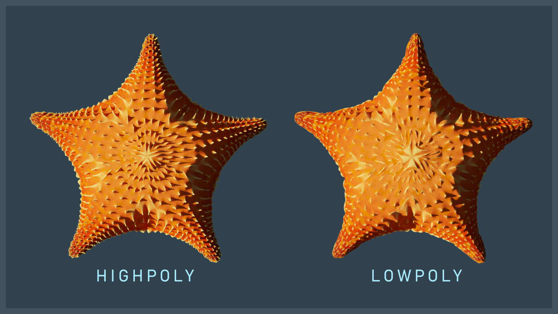 ArtStation - Starfish Variety Pack 4 | Game Assets