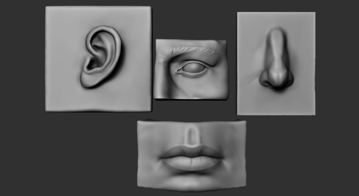 ArtStation - Free Head Parts Anatomy | Resources