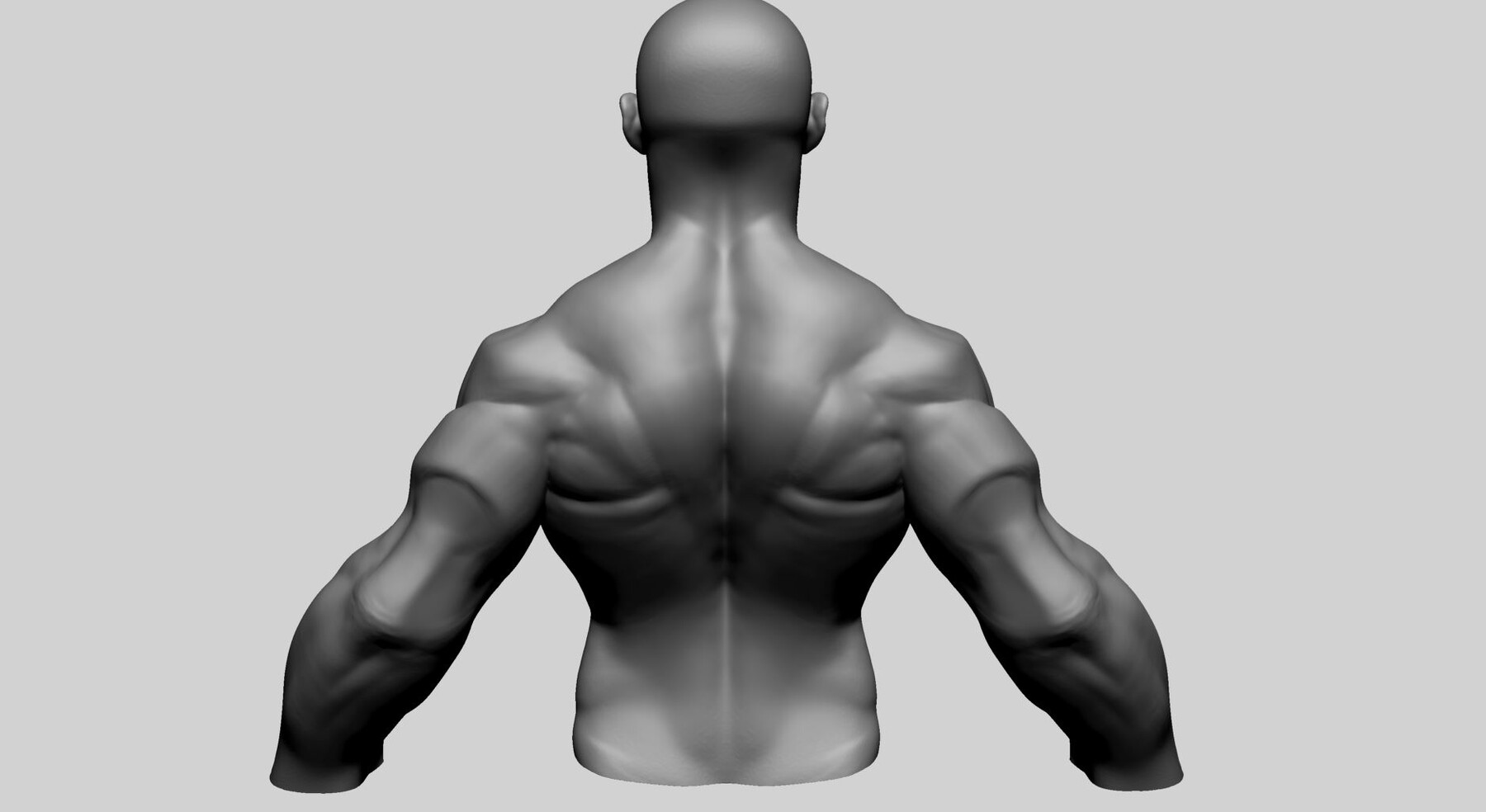 ArtStation - Stylized Male Upper Body | Resources