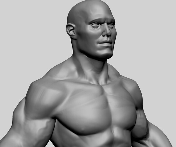 ArtStation - Stylized Male Upper Body | Resources