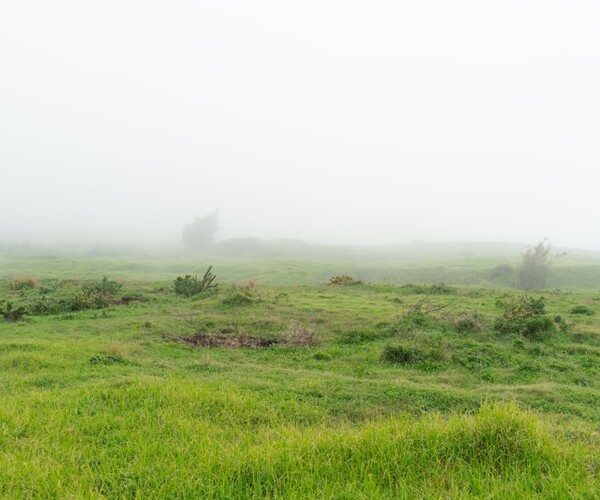 ArtStation - FOGGY grasslands - 76 HIGH QUALITY photos, diffuse ...