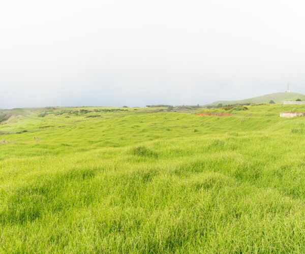 ArtStation - FOGGY grasslands - 76 HIGH QUALITY photos, diffuse ...