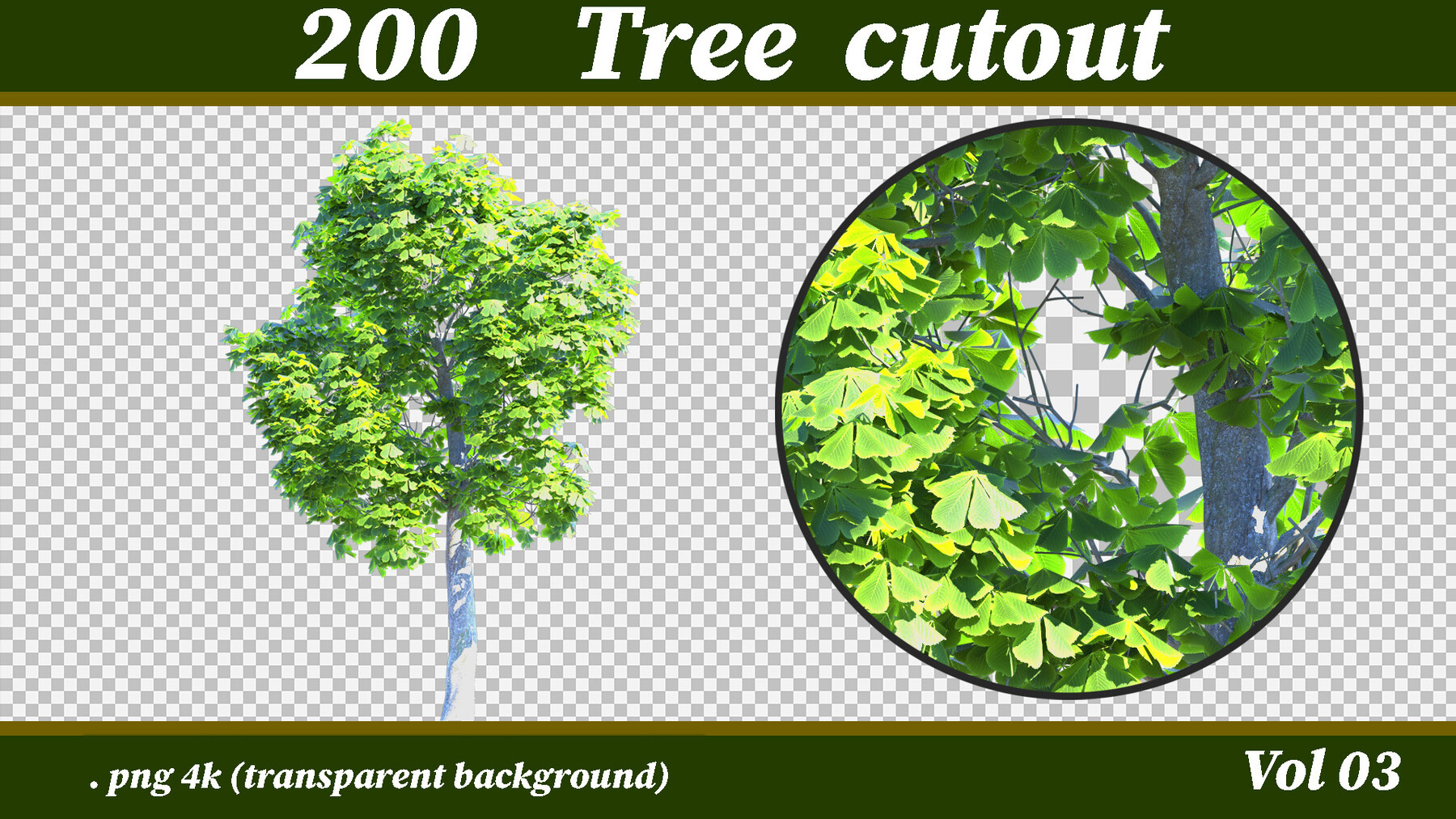 ArtStation - Tree cutout png 4k & psd (Alder, Maple, Weeping willow ...