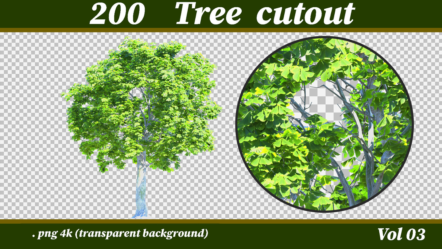ArtStation - Tree cutout png 4k & psd (Alder, Maple, Weeping willow ...
