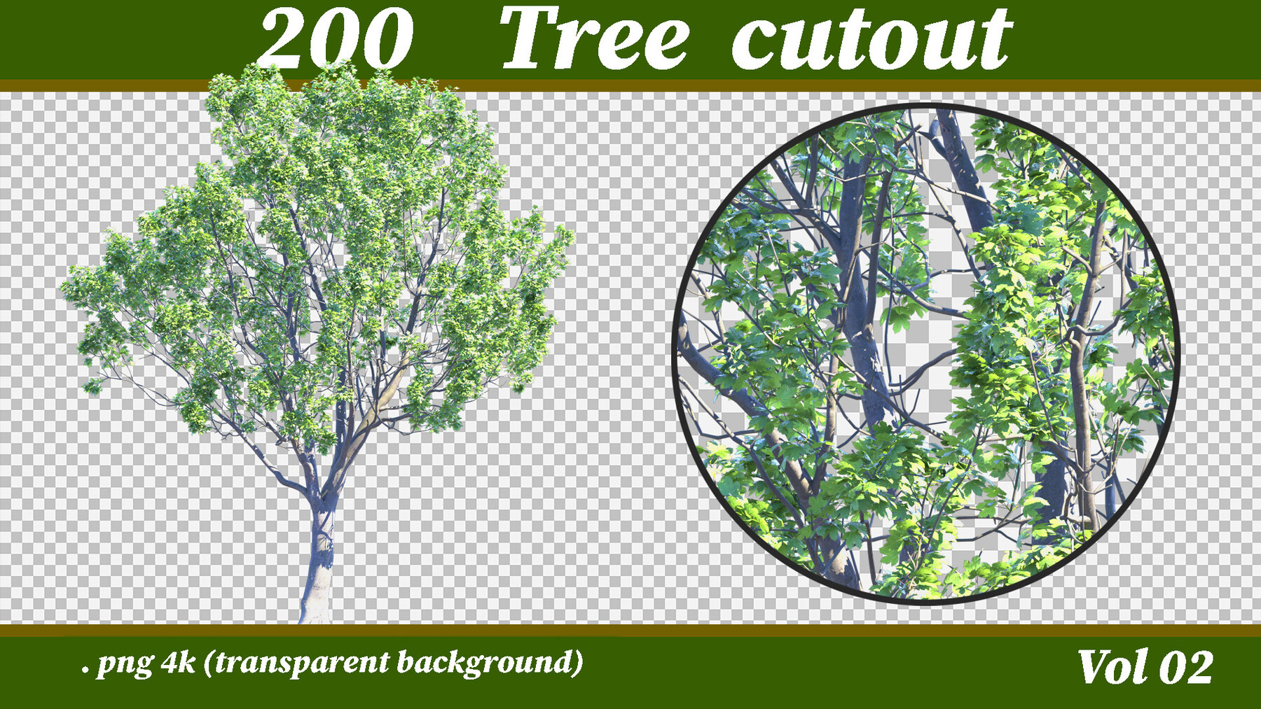 ArtStation - tree cutout png 4k & psd (Alder, Maple, Weeping willow, Fir, Plane, Beech, Hazel ...