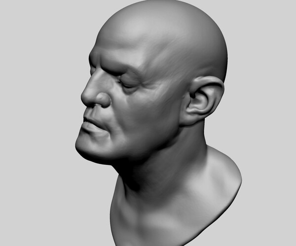 ArtStation - Base Male Head D | Resources