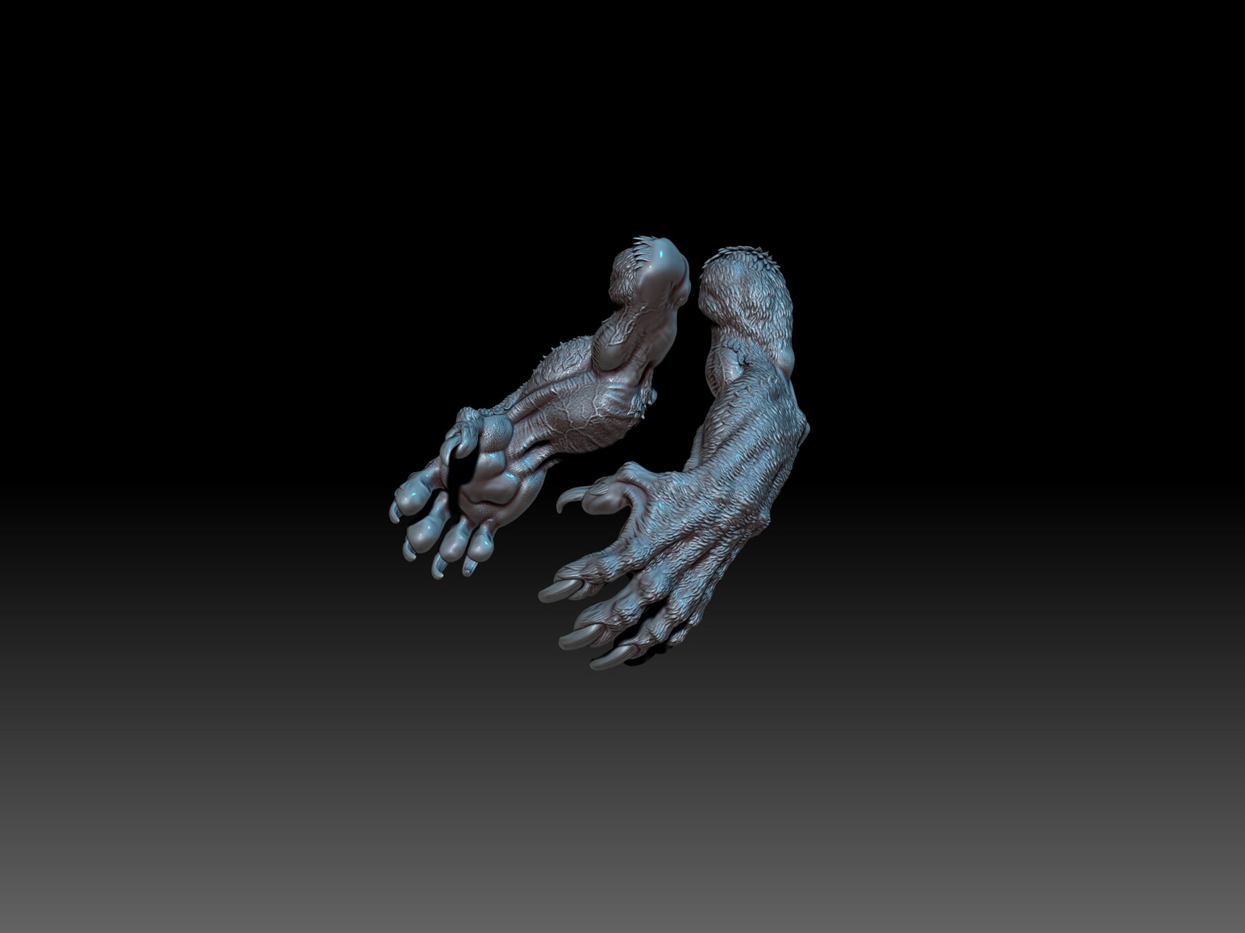 ArtStation - 18 Fantasy Creature Hands set | Resources