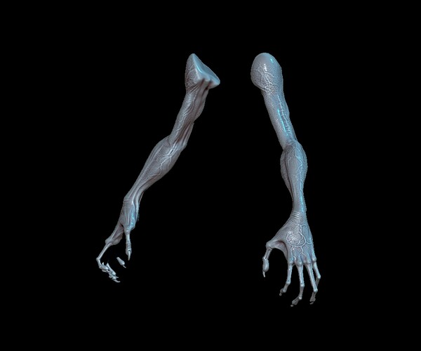 ArtStation - 18 Fantasy Creature Hands set | Resources