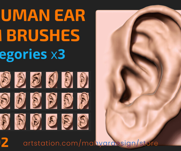 ArtStation - 24 Human Ear VDM Brushes for ZBrush - VOL 02 | Brushes