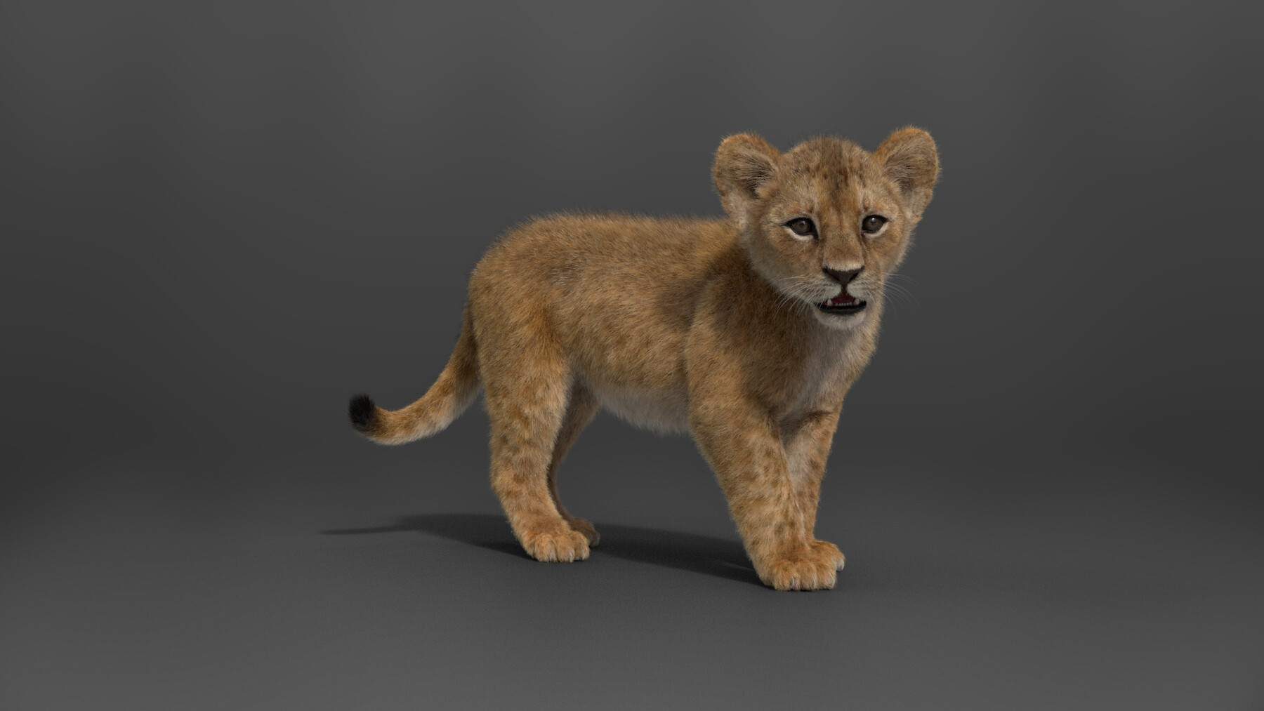 ArtStation - Lion Cub Animated | VFX Grace | Game Assets