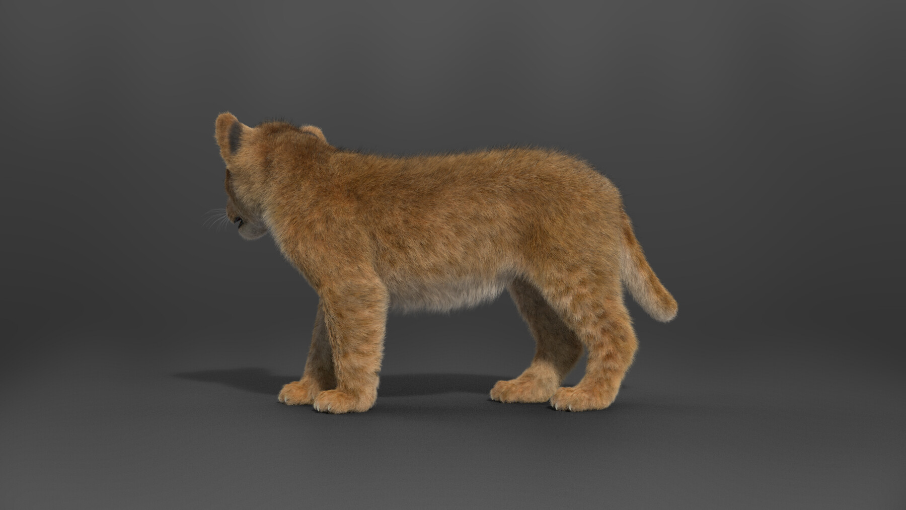 ArtStation - Lion Cub Animated | VFX Grace | Game Assets