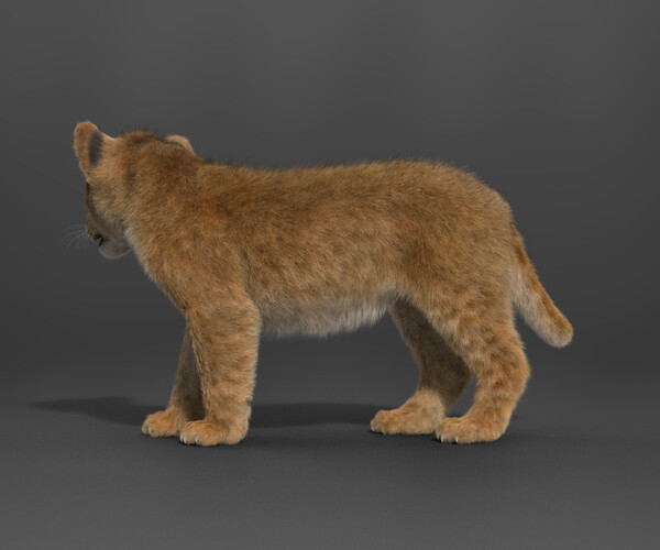 ArtStation - Lion Cub Animated | VFX Grace | Game Assets