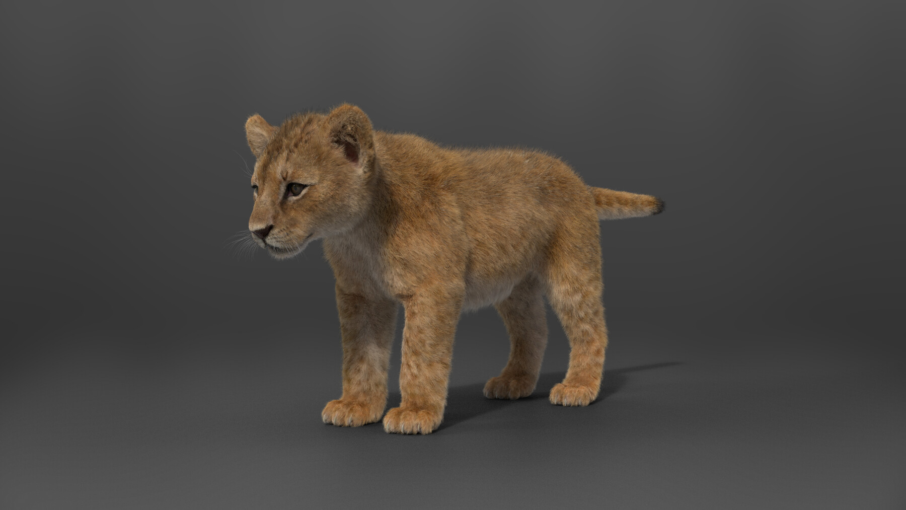 ArtStation - Lion Cub Animated | VFX Grace | Game Assets