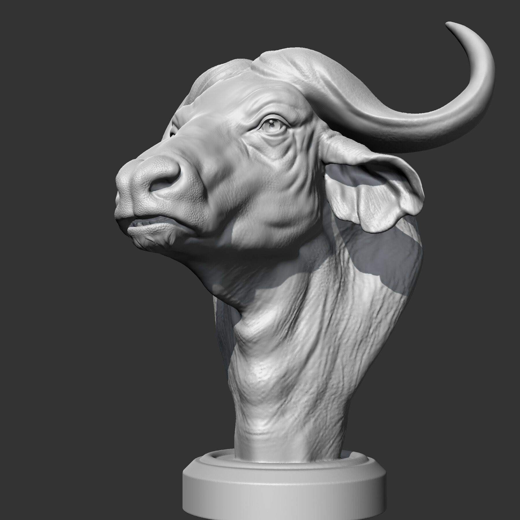 ArtStation - Buffalo Head AM03 3D print model | Resources