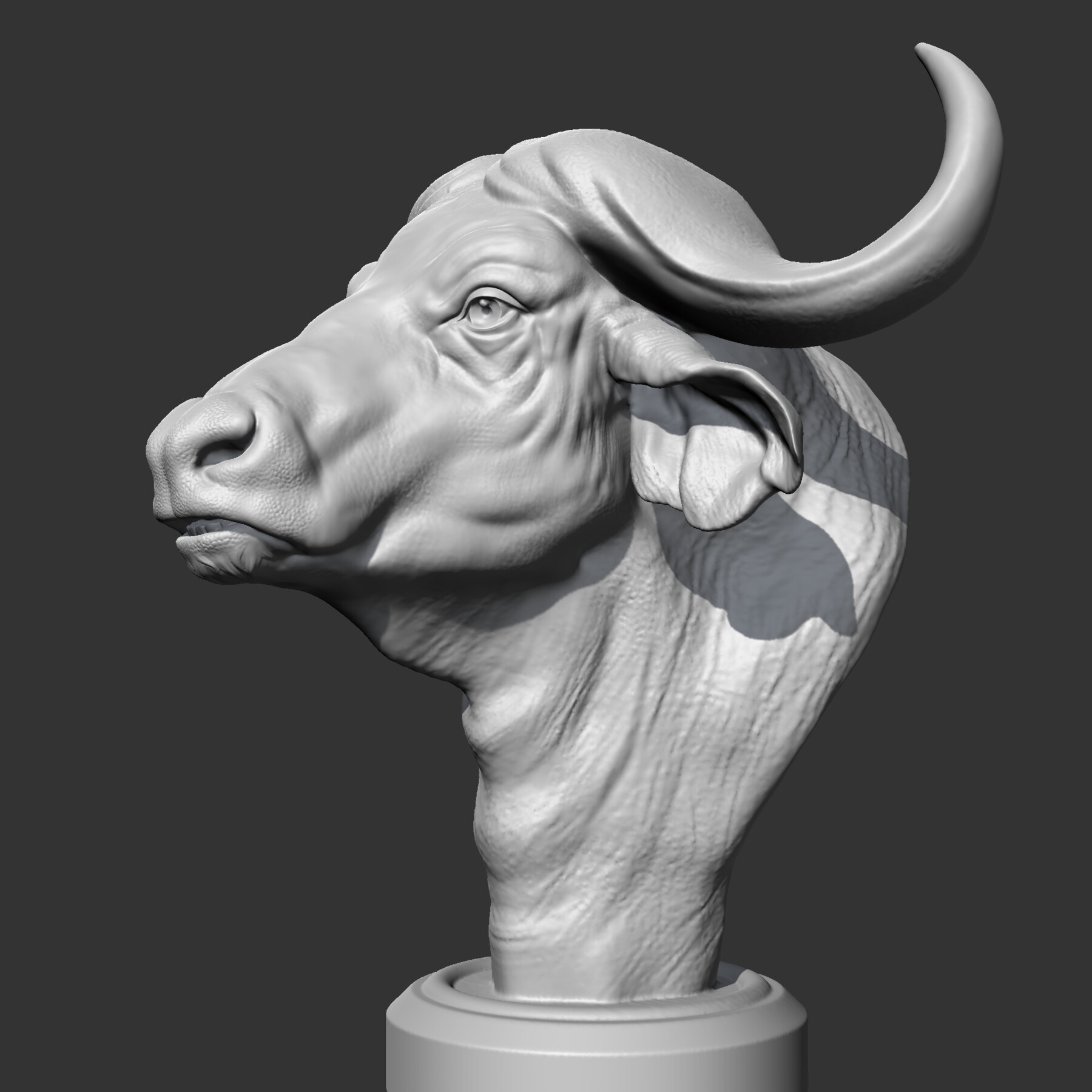 ArtStation - Buffalo Head AM03 3D print model | Resources
