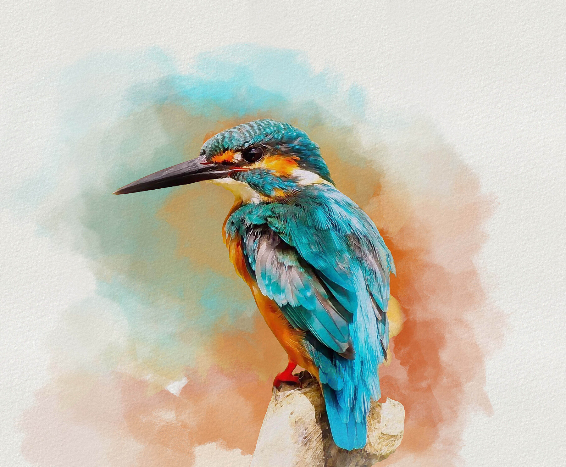 ArtStation - Kingfisher | Artworks