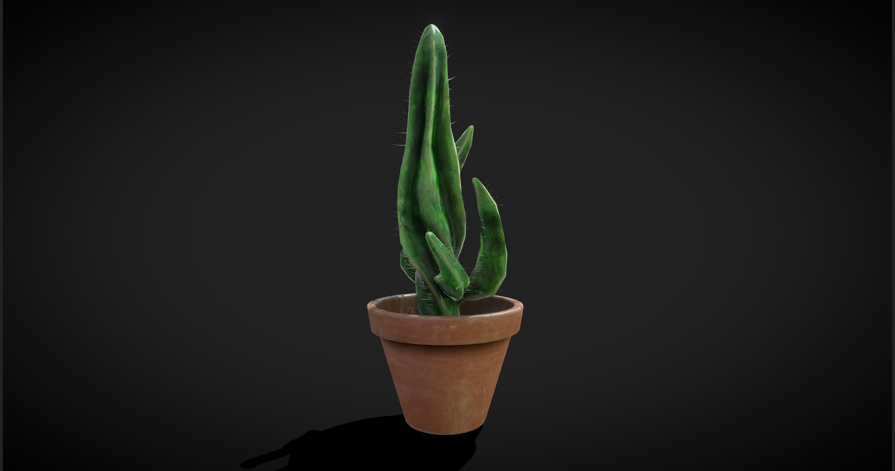 ArtStation - Cactus in pot - low poly 3D model | Game Assets