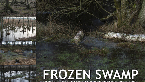 ArtStation - 183 Frozen Swamp Reference Pictures | Resources