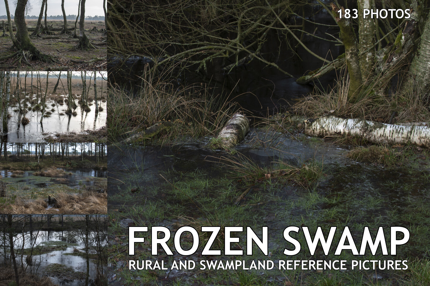 ArtStation - 183 Frozen Swamp Reference Pictures | Resources