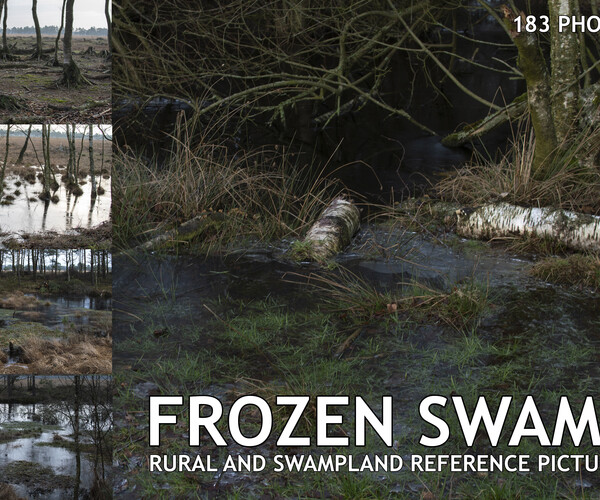 ArtStation - 183 Frozen Swamp Reference Pictures | Resources