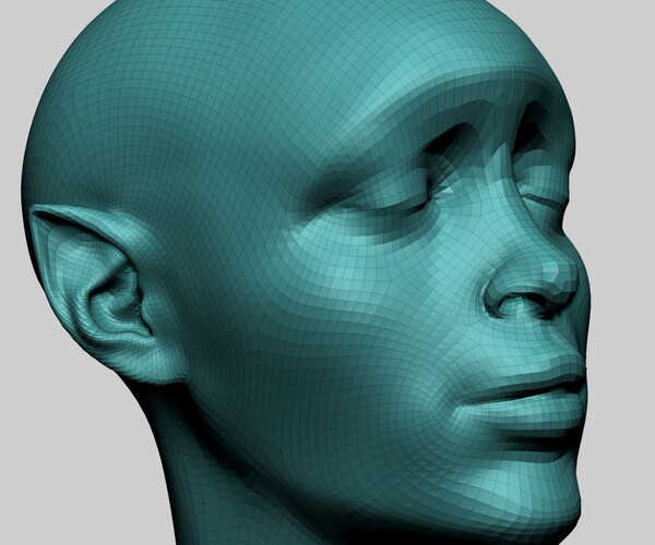 ArtStation - Female Head Form B | Resources