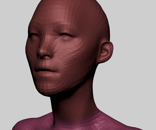 ArtStation - Female Anatomy Basemesh | Resources