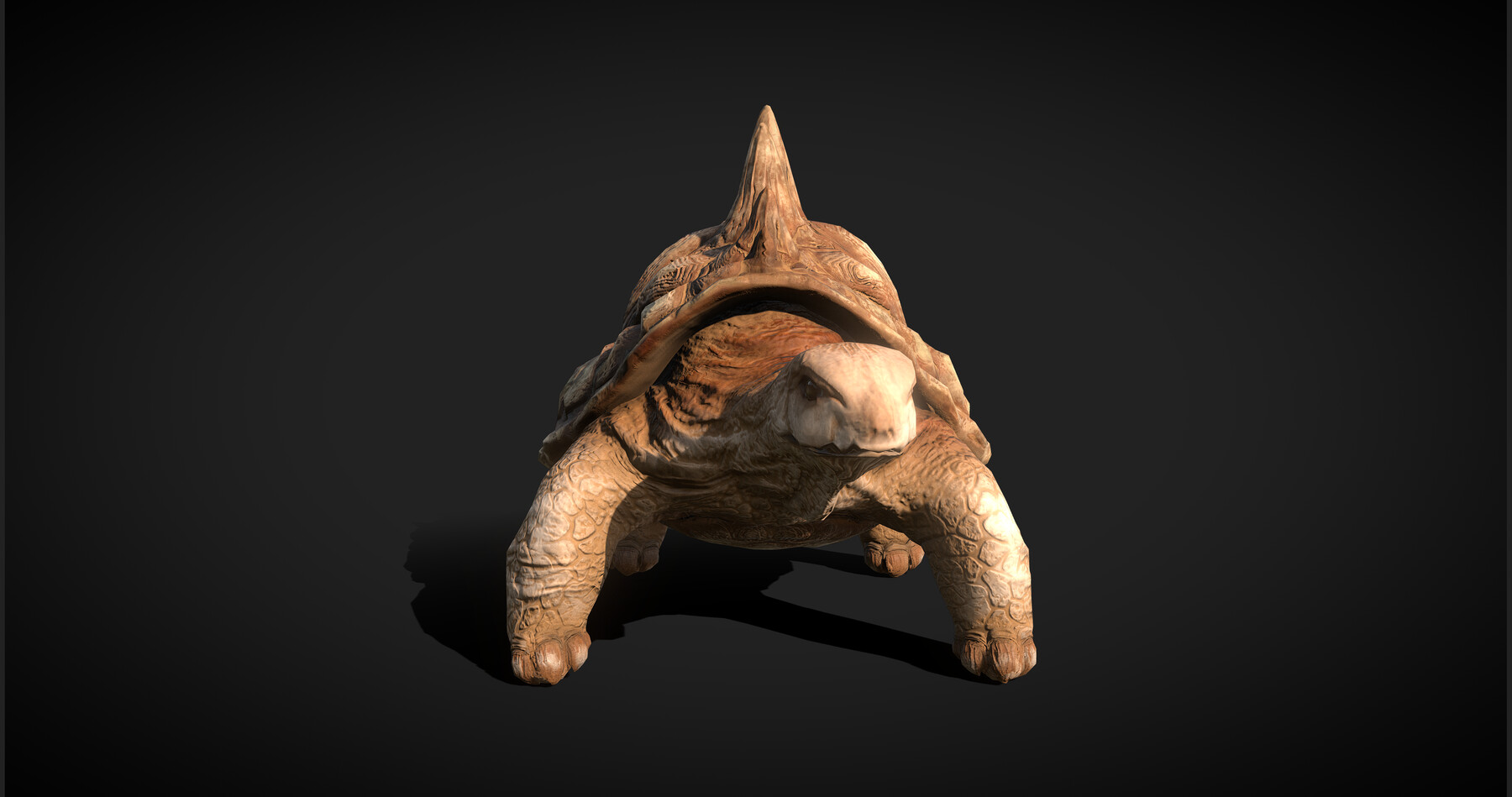 ArtStation - Sand Turtle Animated - low poly 3D model | Game Assets