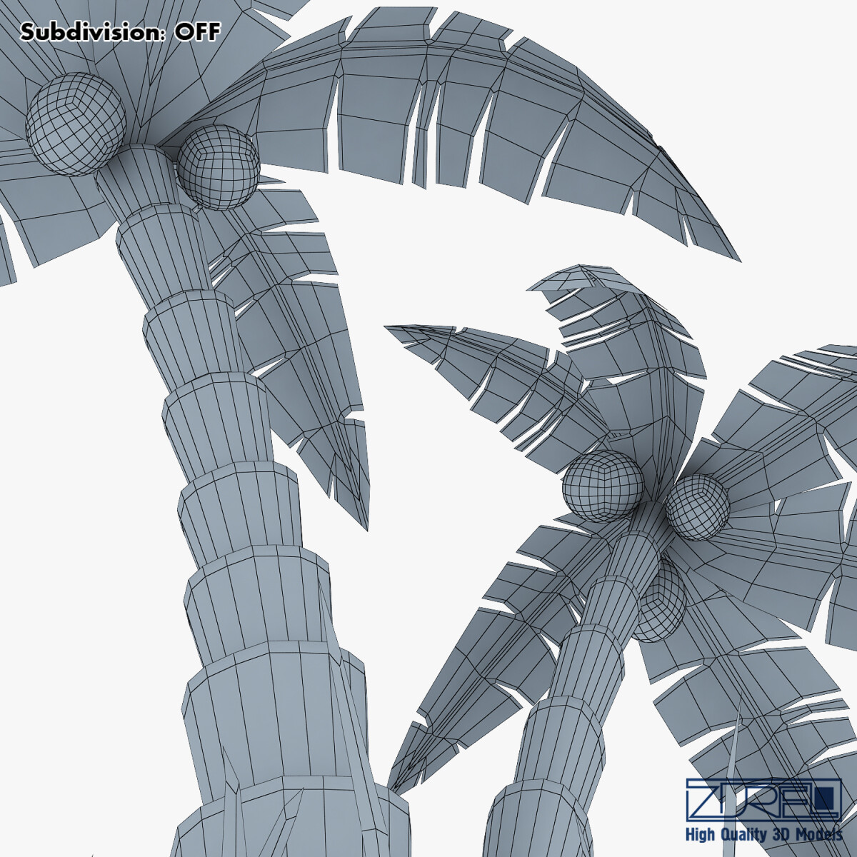 ArtStation - Palm Tree v 5 | Resources