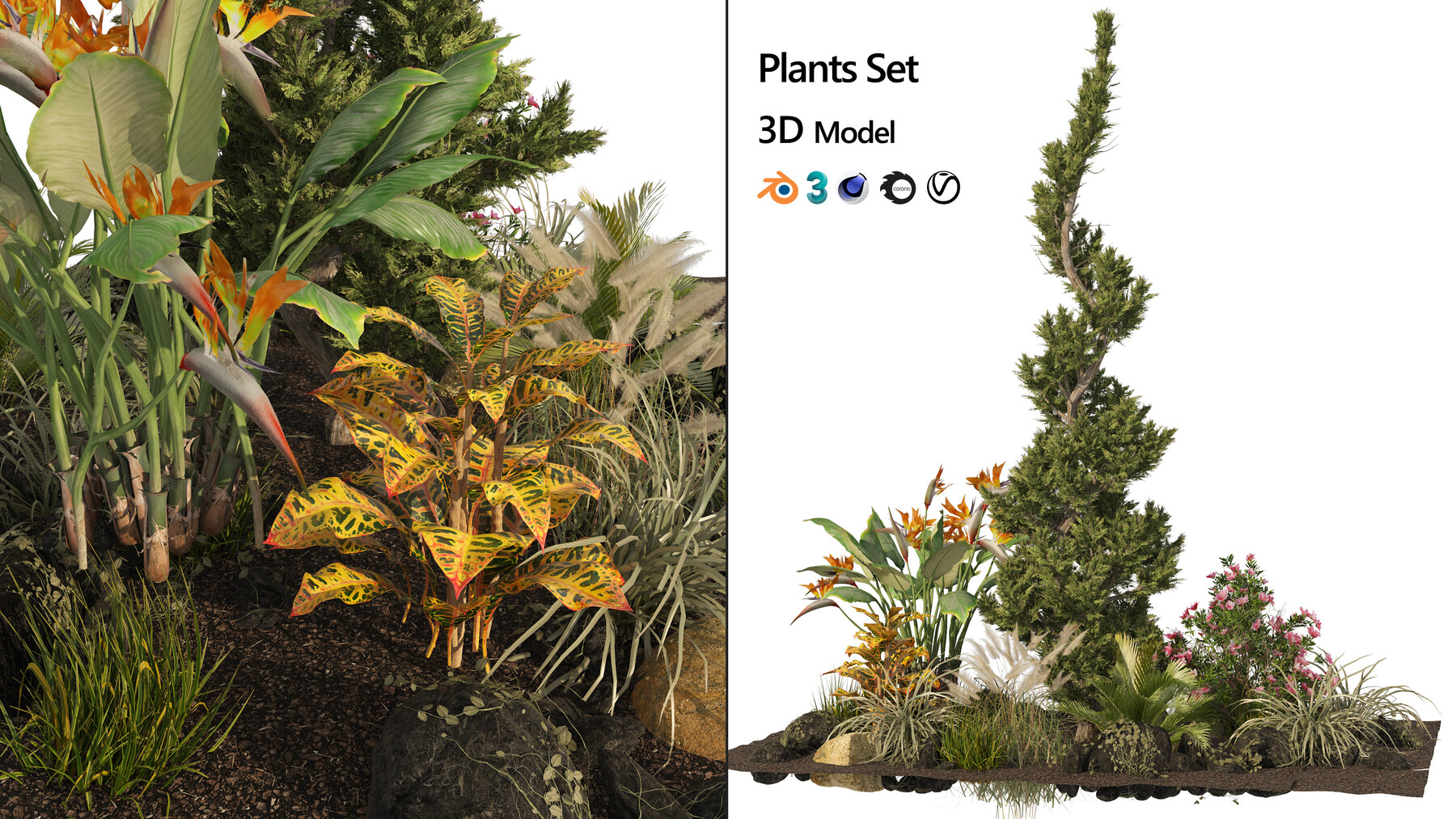 ArtStation - Garden Plant set | Resources